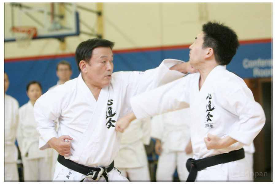 Karate and Ki by Ushiro Kenji